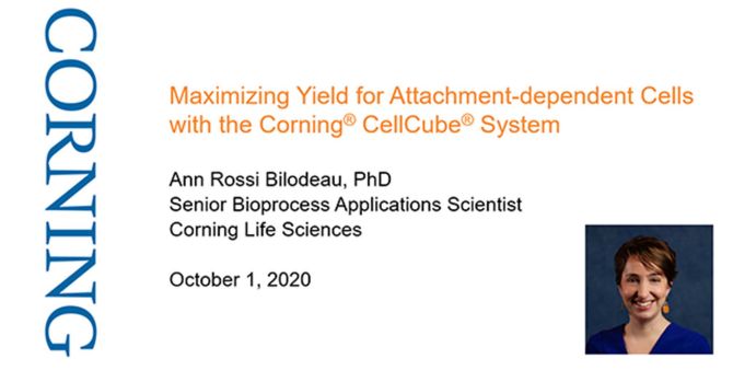 Corning CellCube Culture System | In Vivo Cell Culture System | Corning